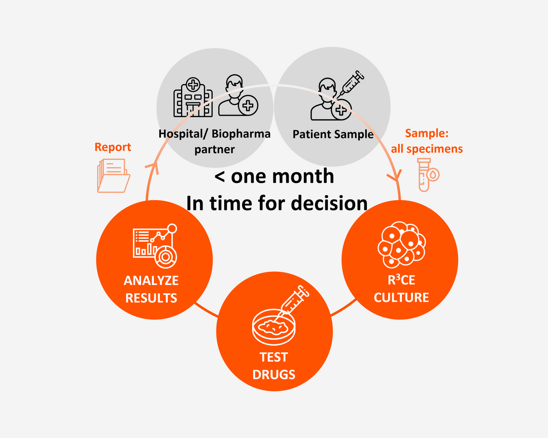 AcroCyte Therapeutics Inc.